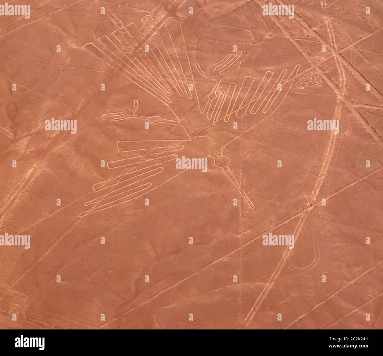 Aerial airplane panoramic view to Nazca geoglyph lines aka Condor, Ica ...
