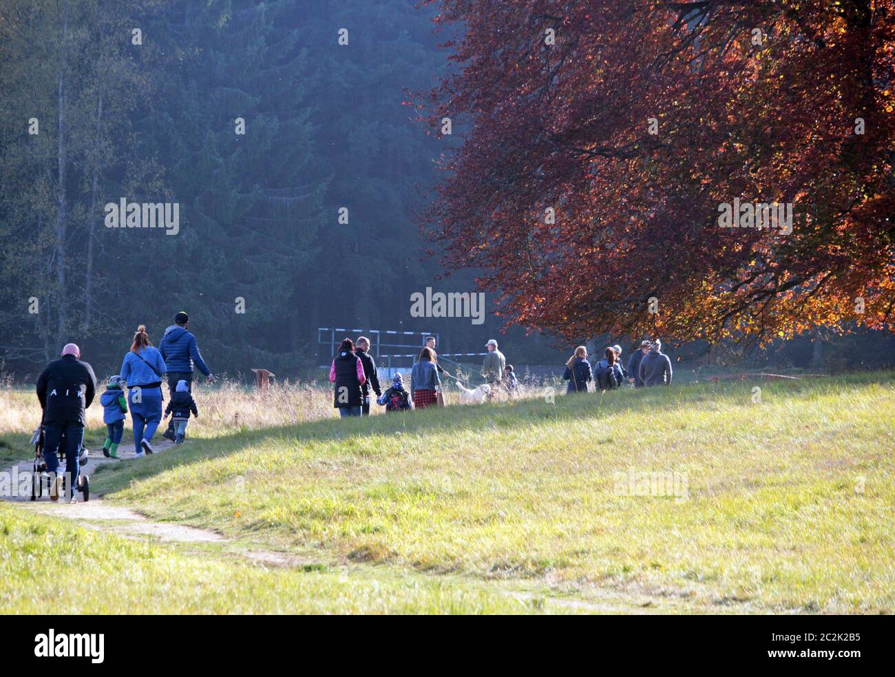 Murder zone in Slavkovský les Stock Photo - Alamy