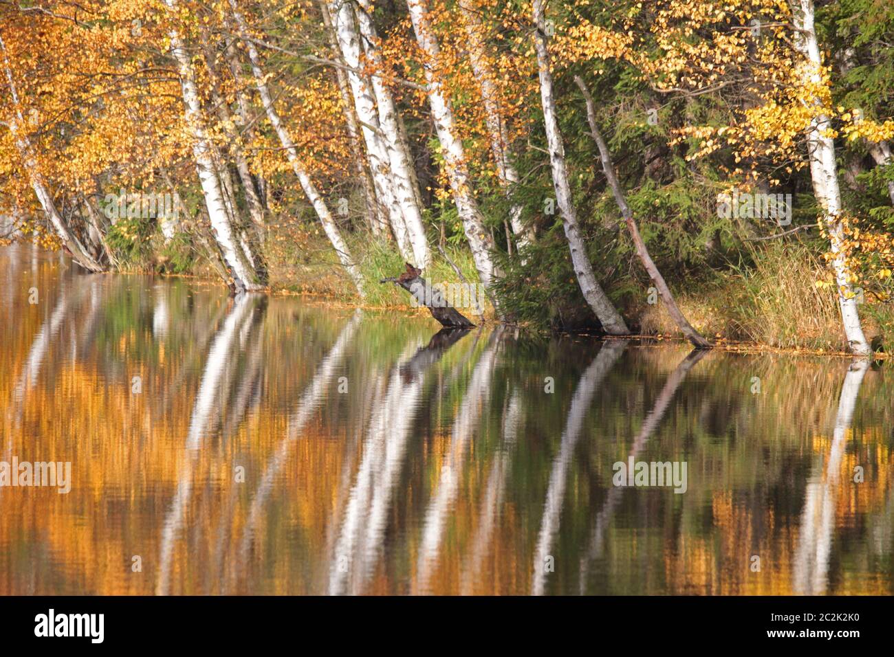 Slavkovsky hi-res stock photography and images - Alamy