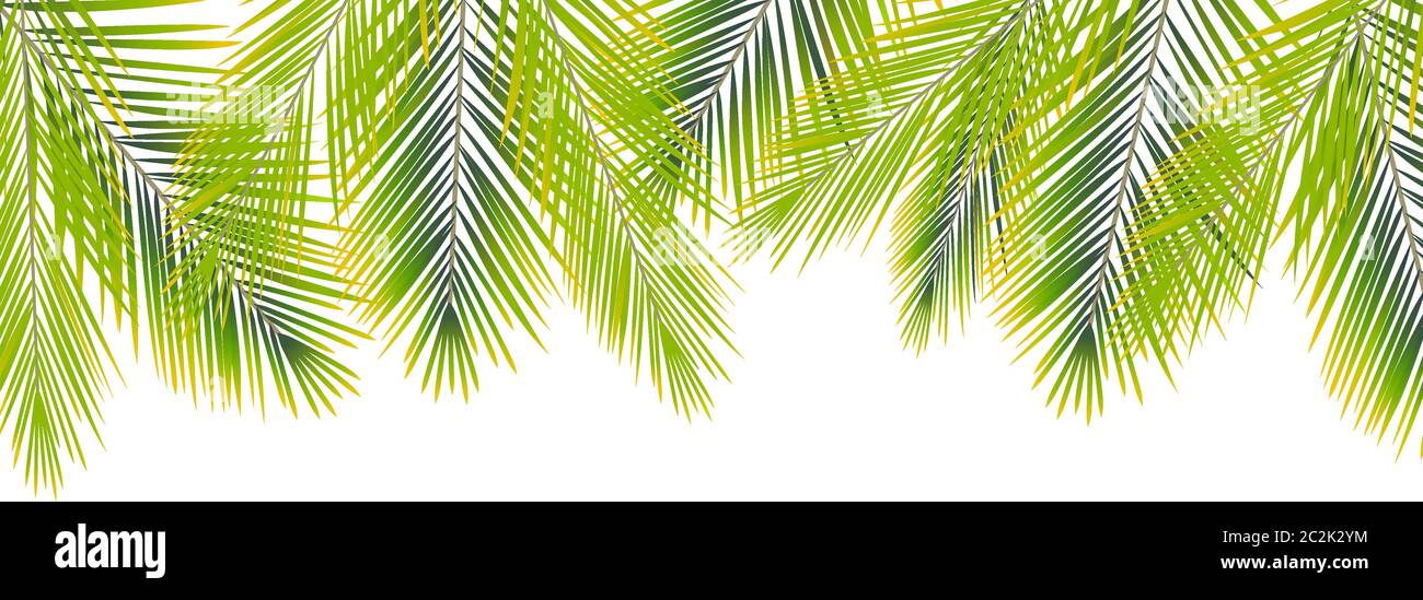 Seaside border Stock Vector Images - Alamy