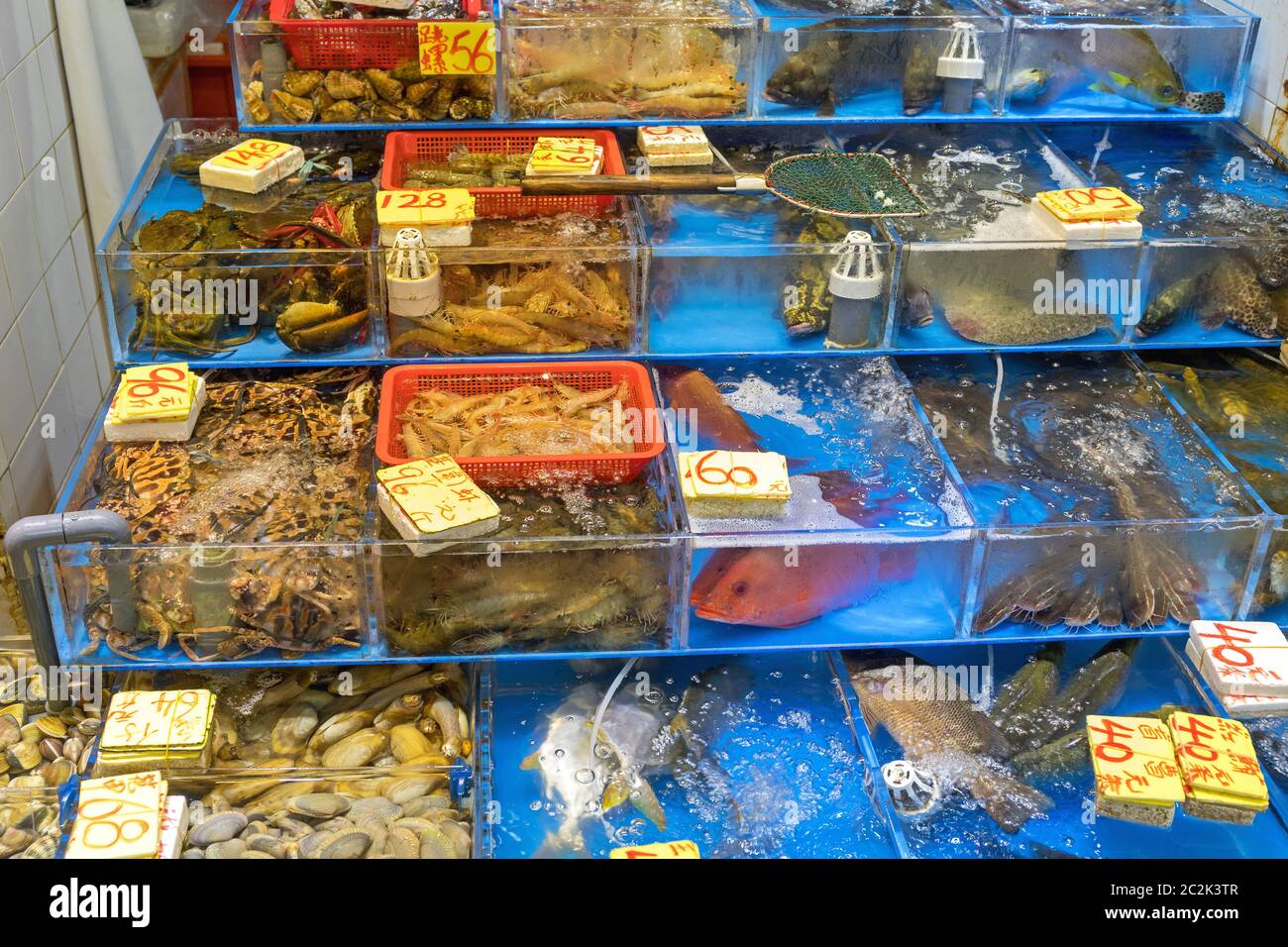Live Sea Food Species in Water Tanks Stock Photo - Alamy