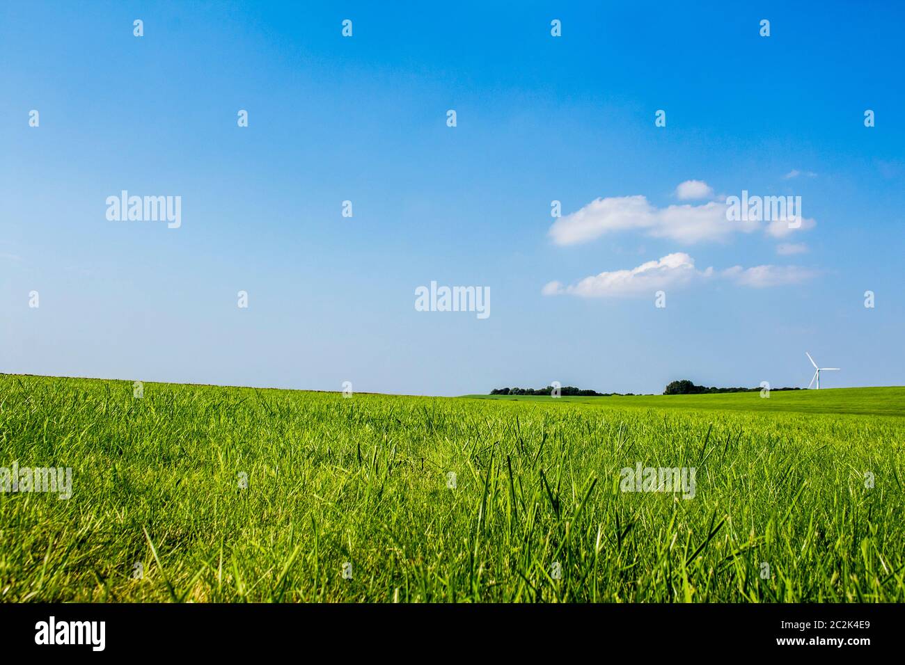 Blue sky, green grass, dike landscape in the north of Germany Stock ...