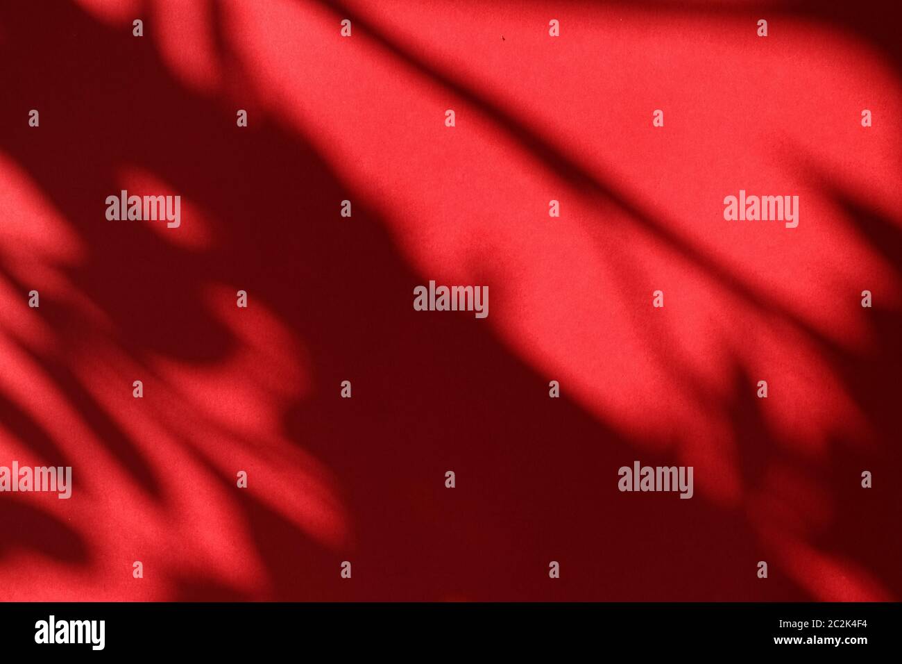 Abstract art, botanical shadows overlay on red background for holiday ...