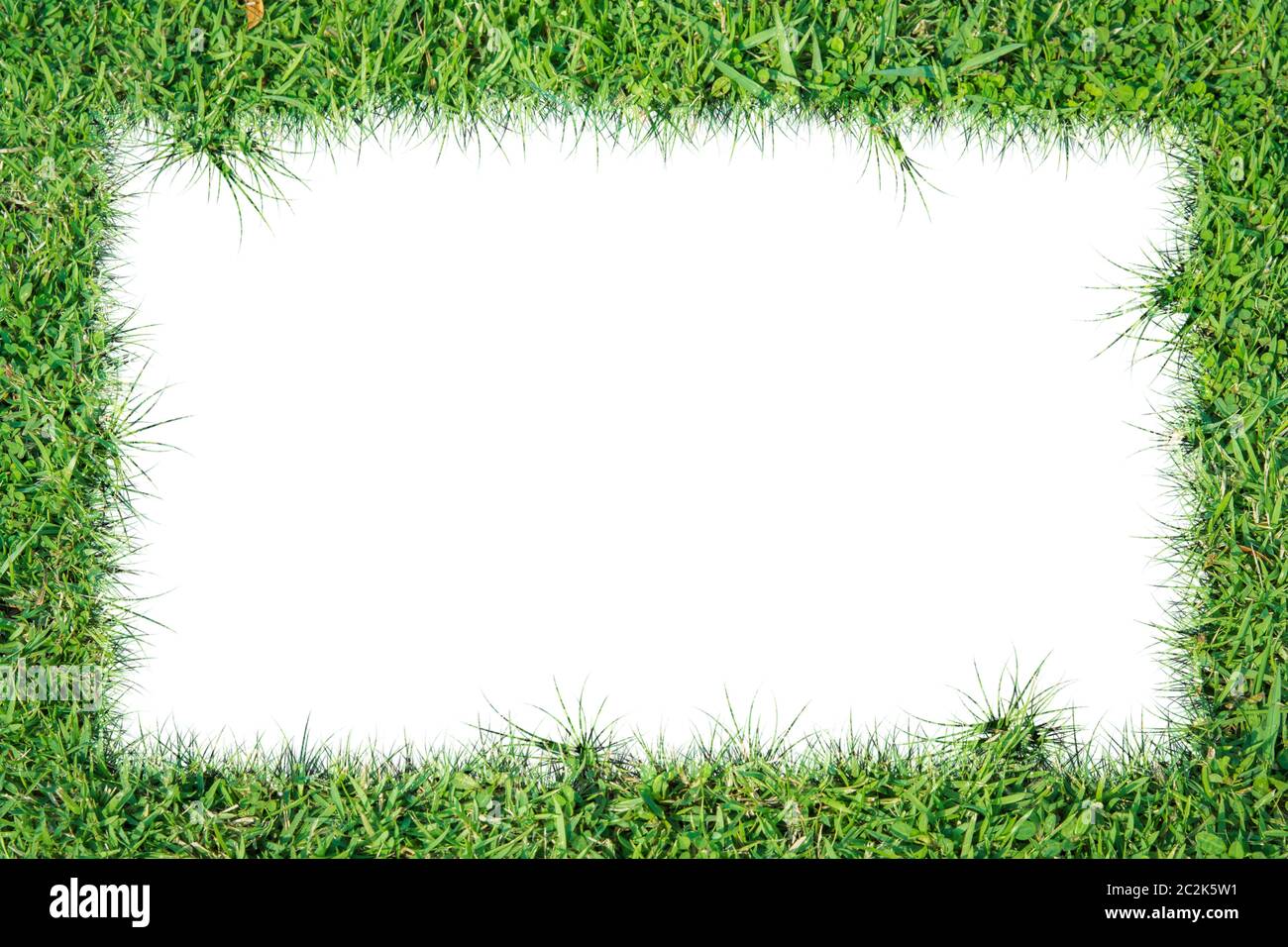 Green grass frame on over white background Stock Photo - Alamy