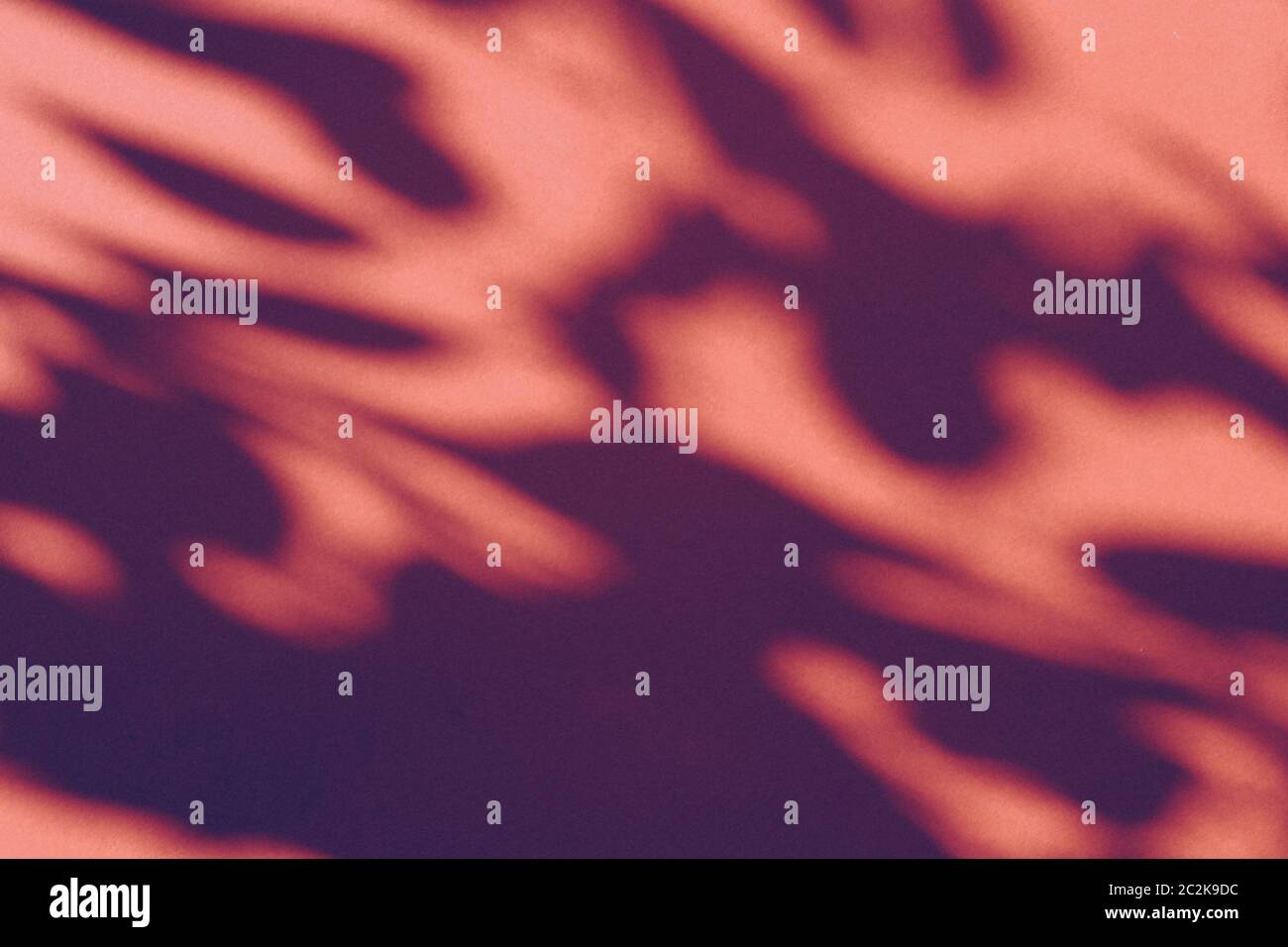 Abstract art, botanical shadows overlay on brown background for holiday ...