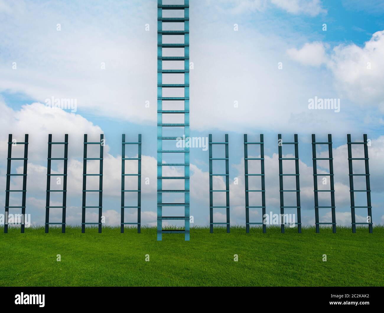 The different ladders in career progression concept Stock Photo - Alamy