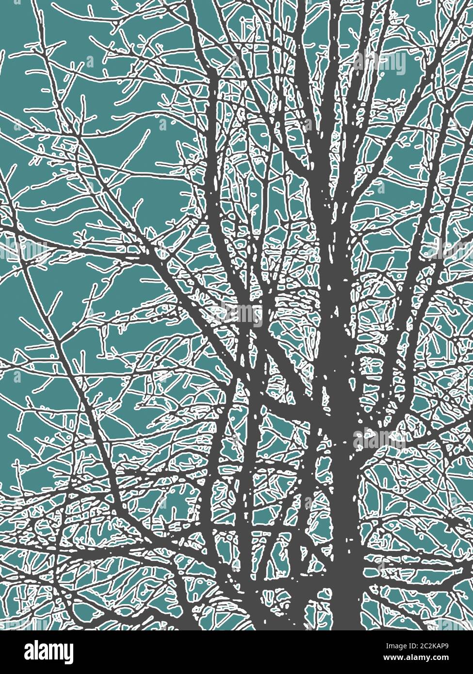 Leave Less Tree Graphic Silhouette Stock Photo - Alamy