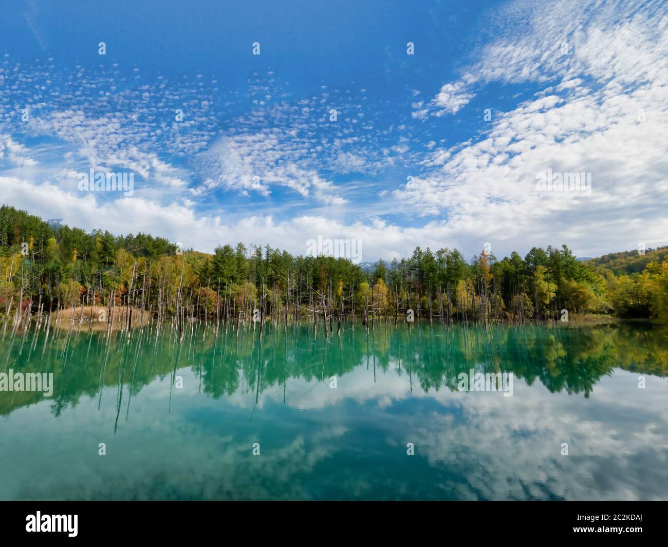 Biei hokkaido japan hi-res stock photography and images - Alamy