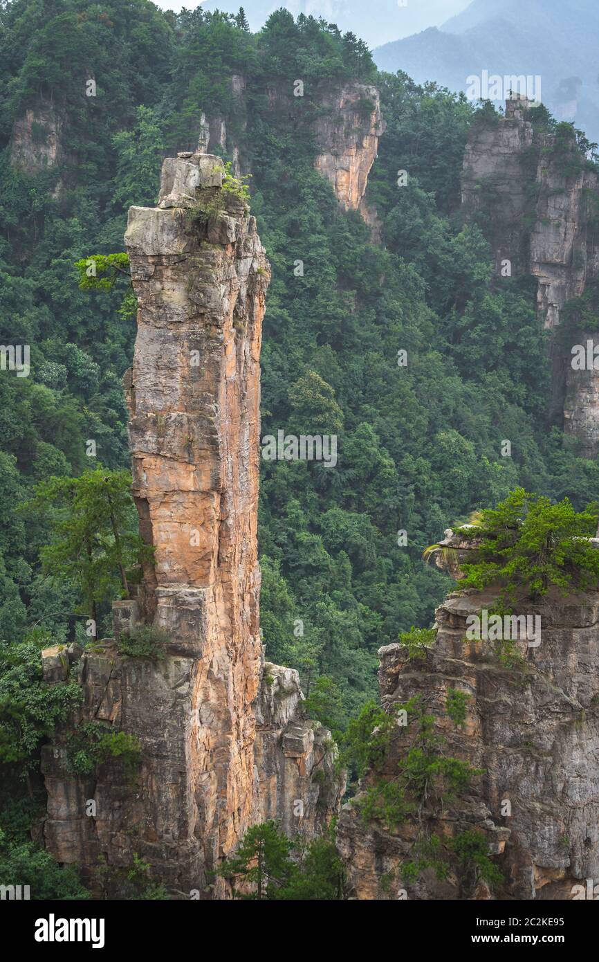 Vertical view of the stone pillar of Tianzi mountains in Zhangjiajie ...