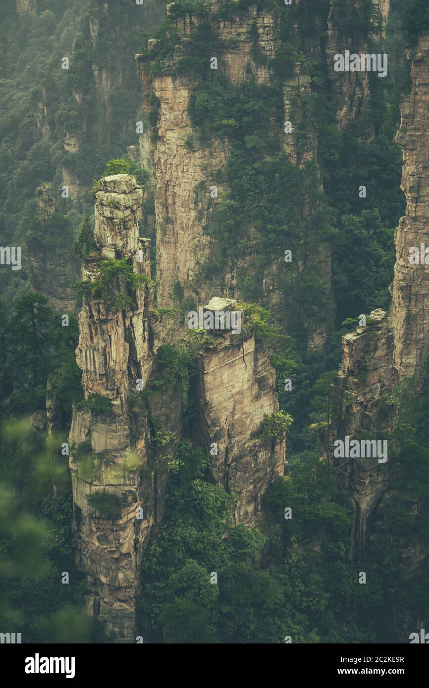 Vertical view of the stone pillars of Tianzi mountains in Zhangjiajie ...
