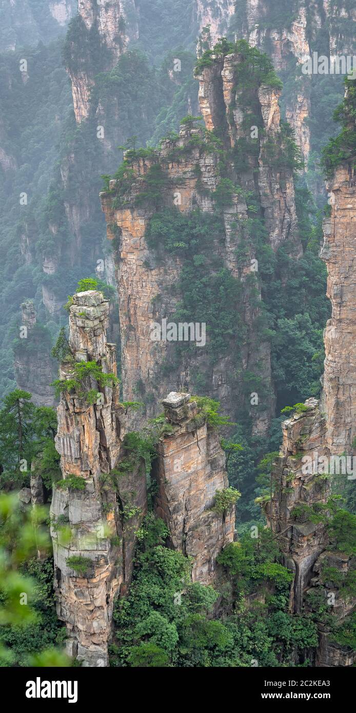 Vertical view of the stone pillars of Tianzi mountains in Zhangjiajie ...