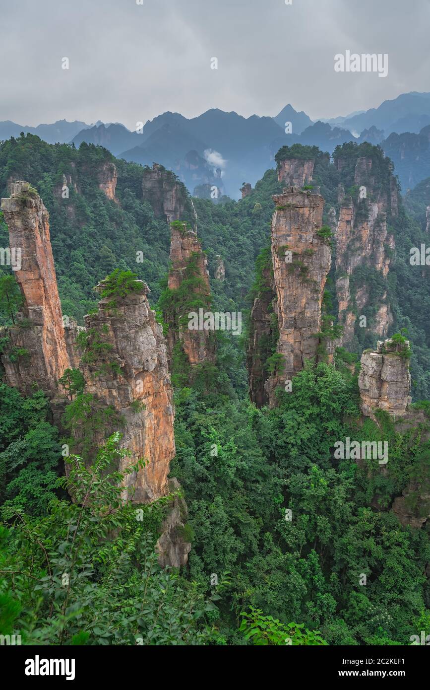 Vertical view of the stone pillars of Tianzi mountains in Zhangjiajie ...