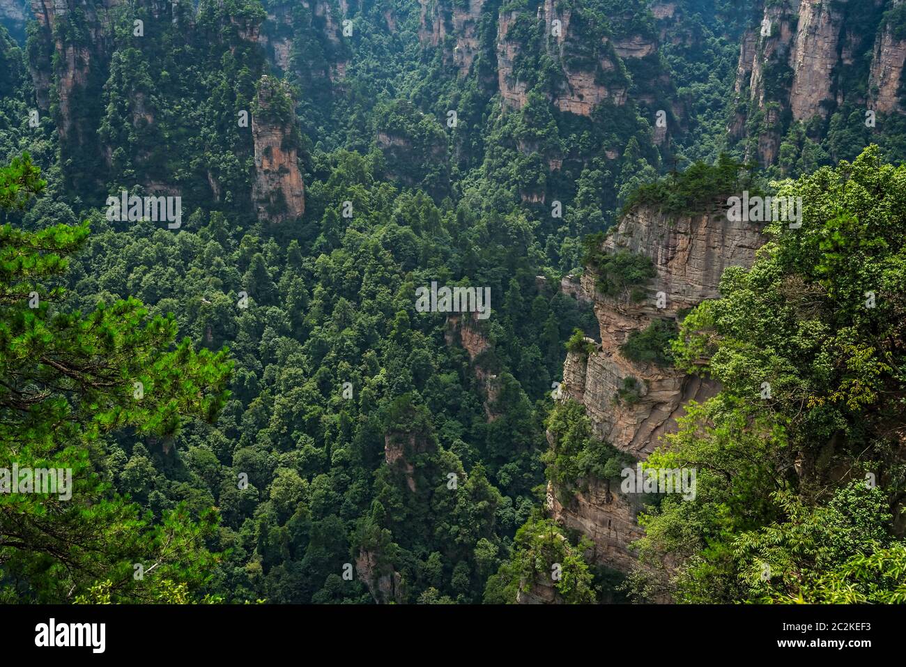 Vertical karst pillar rock formations as seen from the Enchanting ...