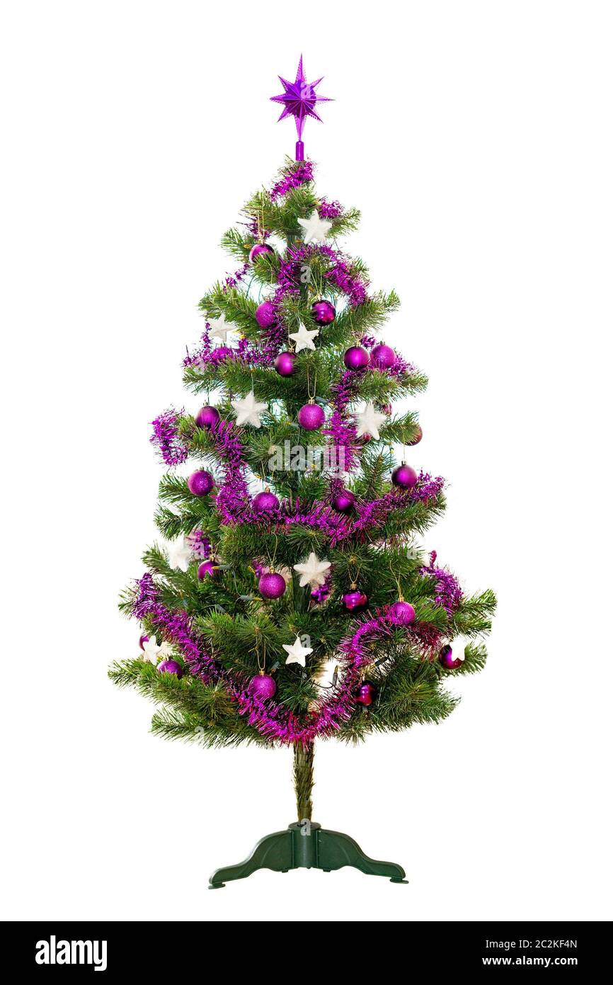 christmas tree with violet decoration isolated on white background ...
