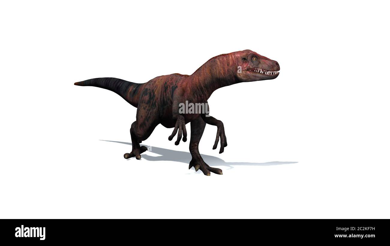 Velociraptor Dinosaur Cut Out Stock Images & Pictures - Alamy