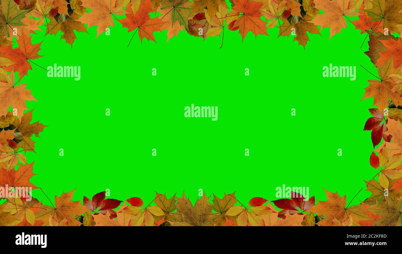 Autumn leaves on the edge of a card Stock Photo - Alamy