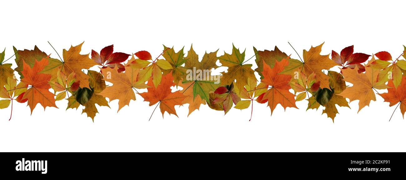 Autumn leaves in a ribbon Stock Photo - Alamy
