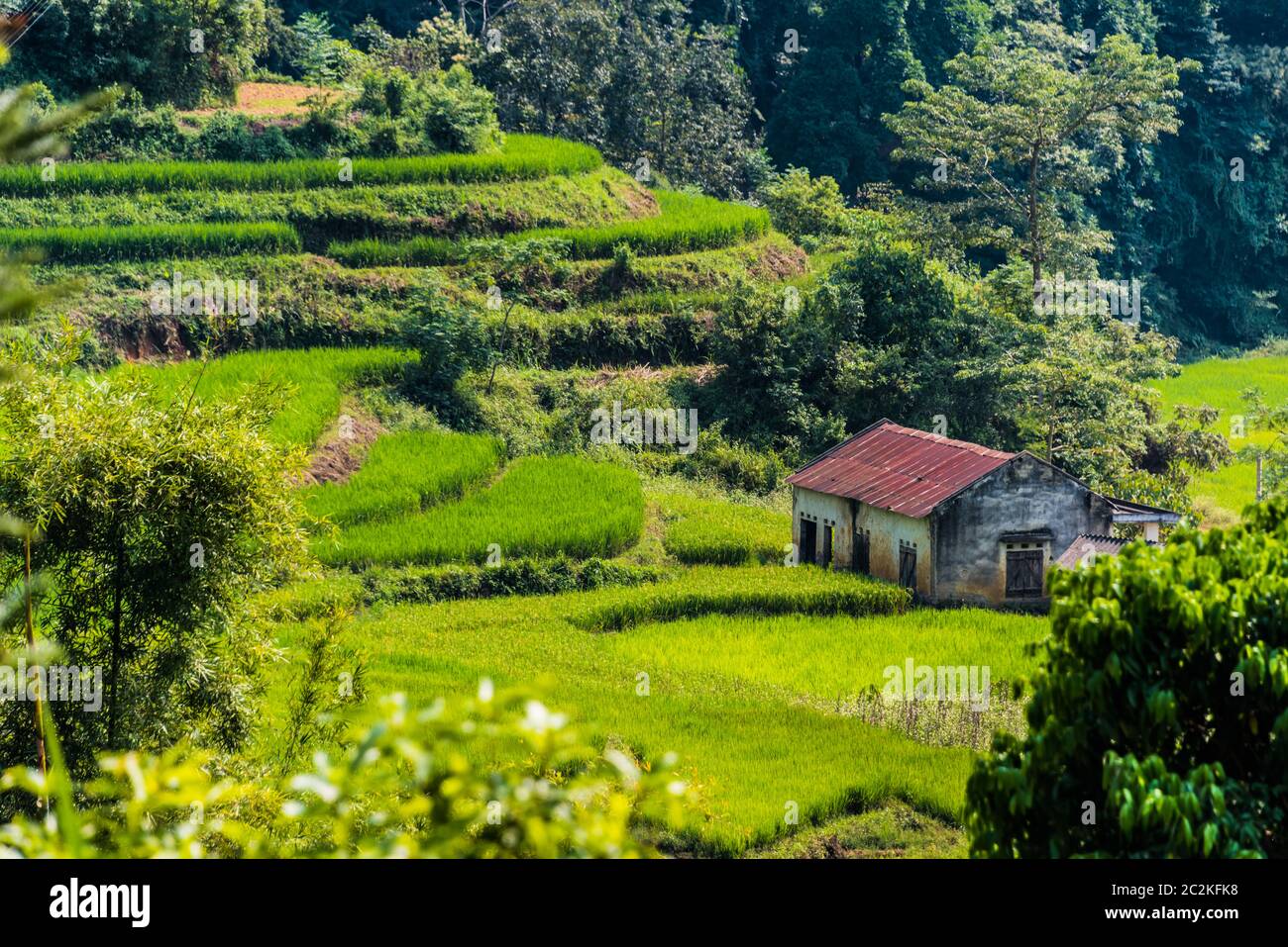 Lanscape view of Ha Giang province, Vietnam Stock Photo - Alamy