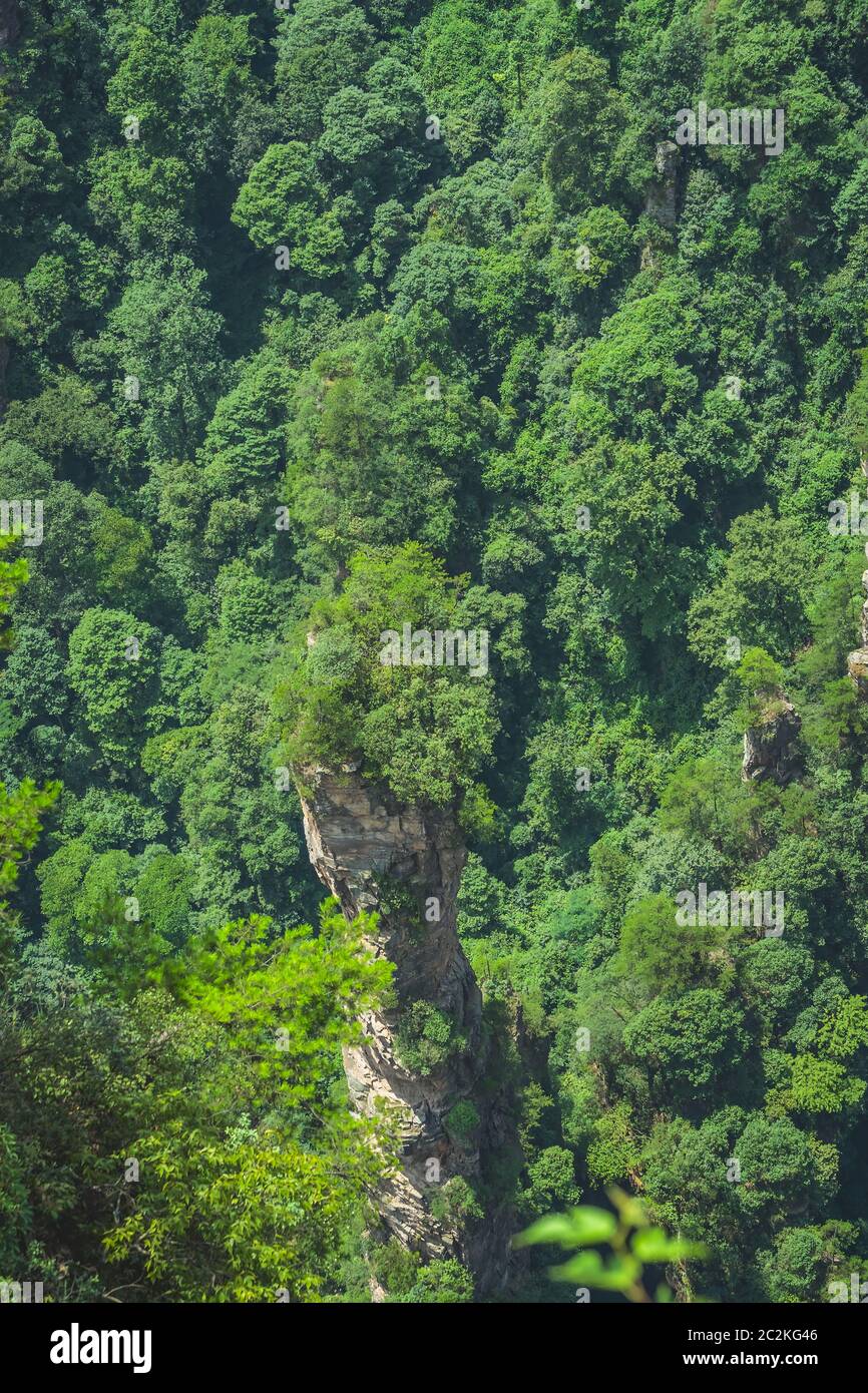 Vertical karst pillar rock formation as seen from the Enchanting ...
