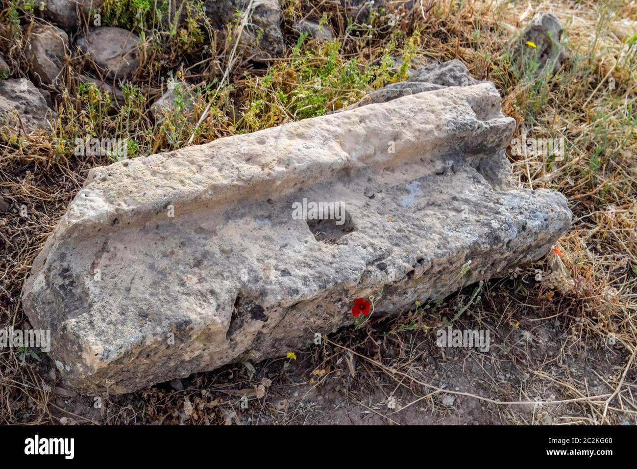 Clear cutting history hi-res stock photography and images - Alamy