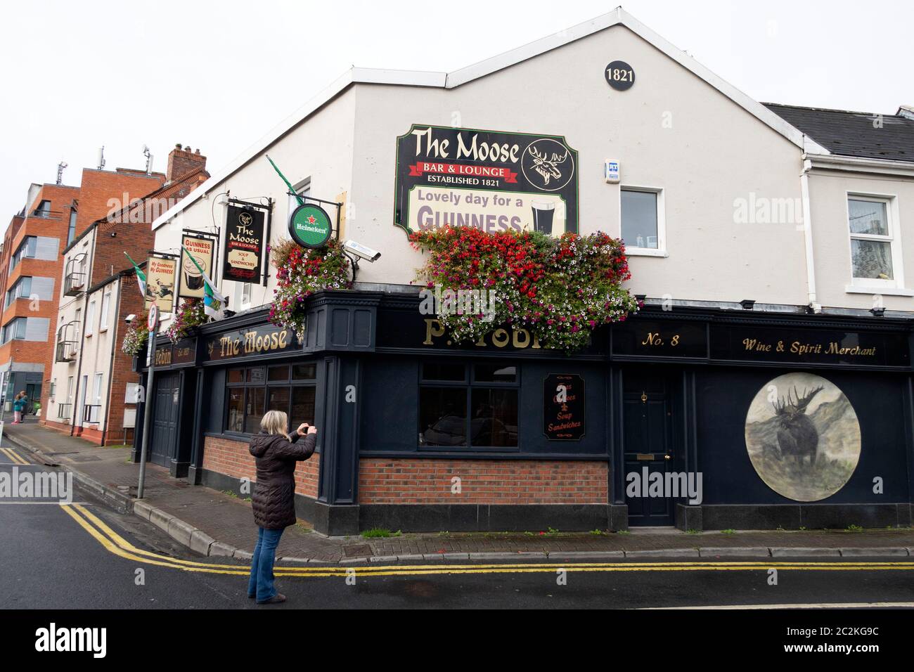 The Moose bar & lounge pub in Limerick, Republic of Ireland, Europe ...
