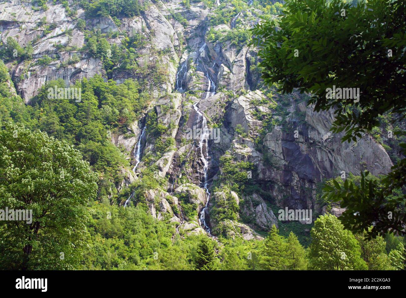 The waterfalls in the woods in the Alps Stock Photo - Alamy