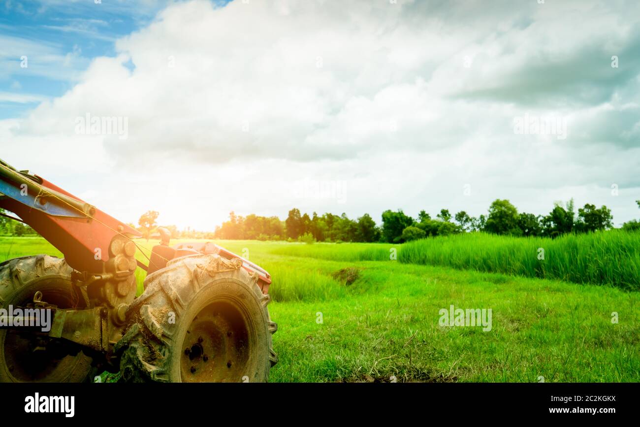Wheel plow or wheel plough parked at green rice paddy field ...