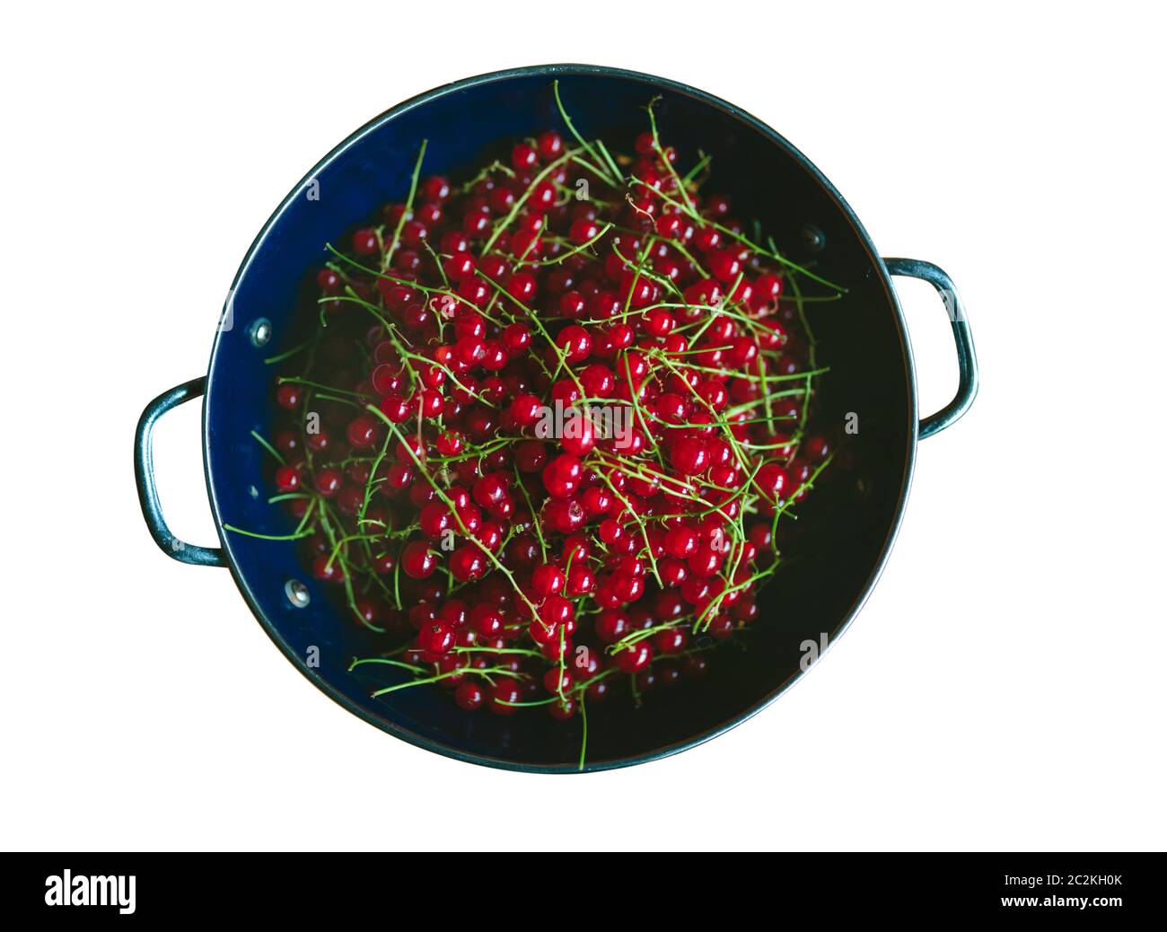 red currants in a blue colander on a white background. Ripe red currant ...