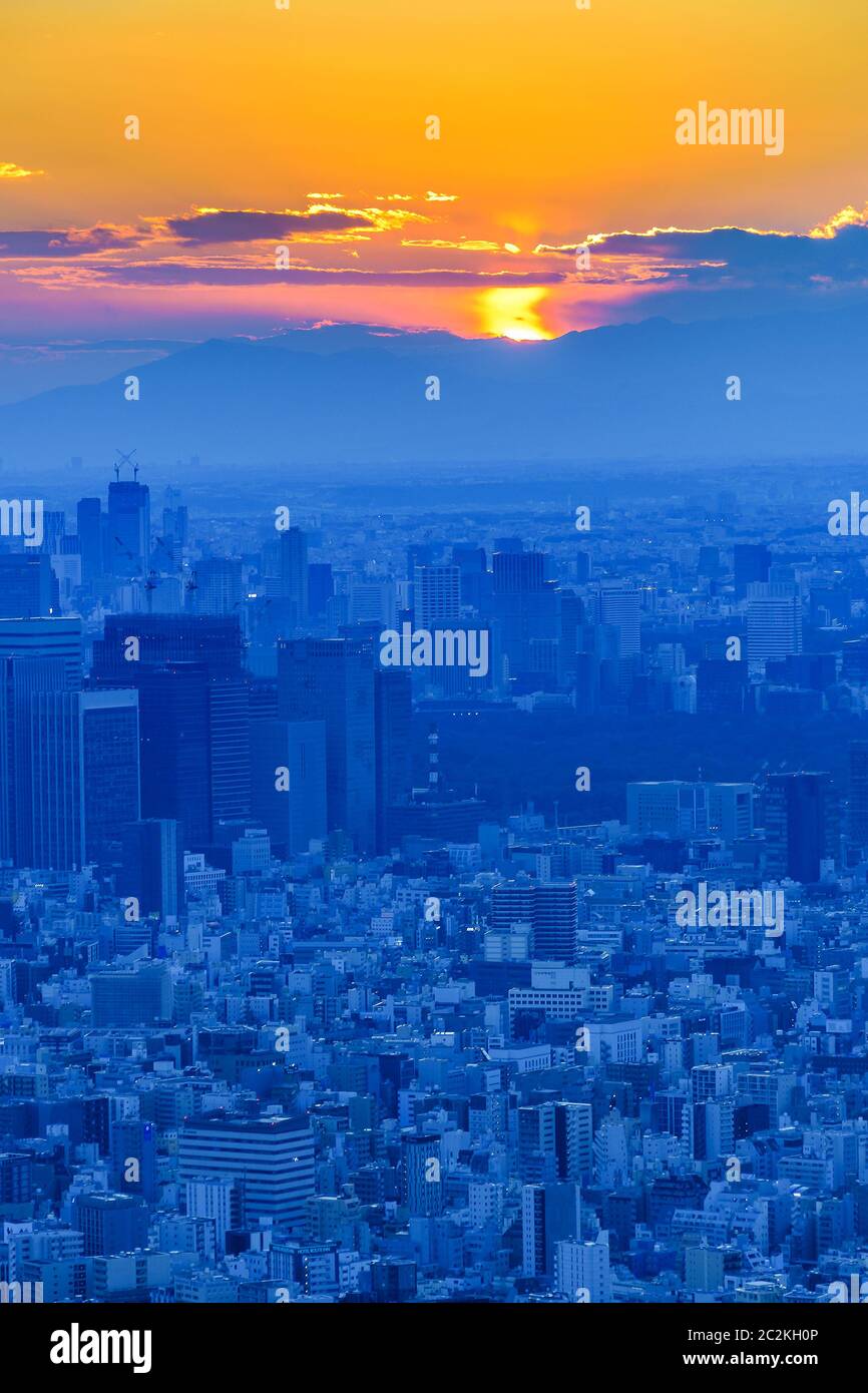 Tokyo aerial cityscape hi-res stock photography and images - Alamy