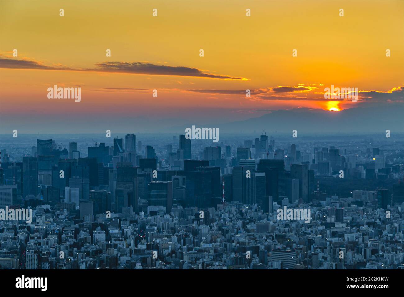 Tokyo aerial cityscape hi-res stock photography and images - Alamy