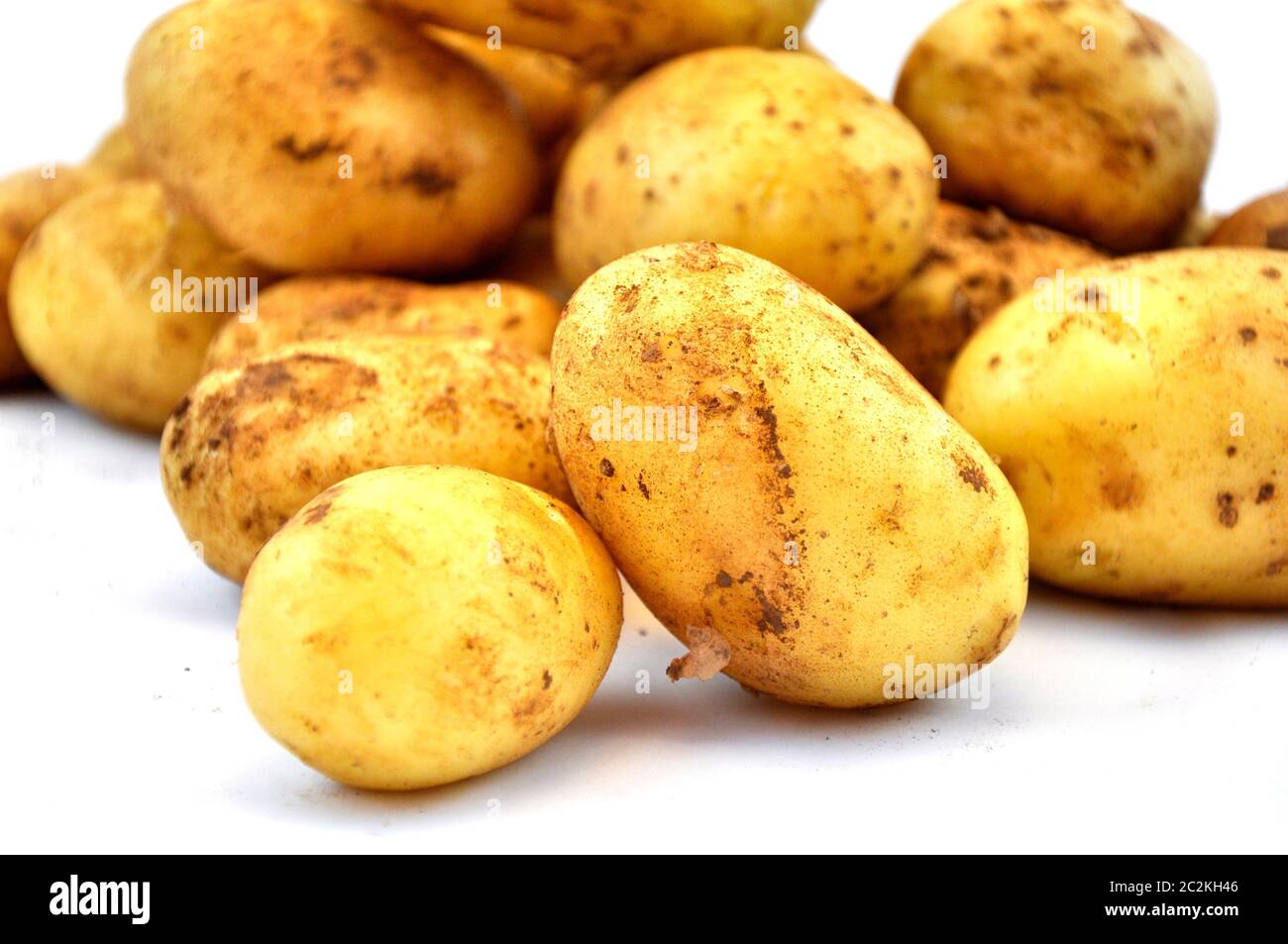 Fresh raw potato on white background Stock Photo - Alamy