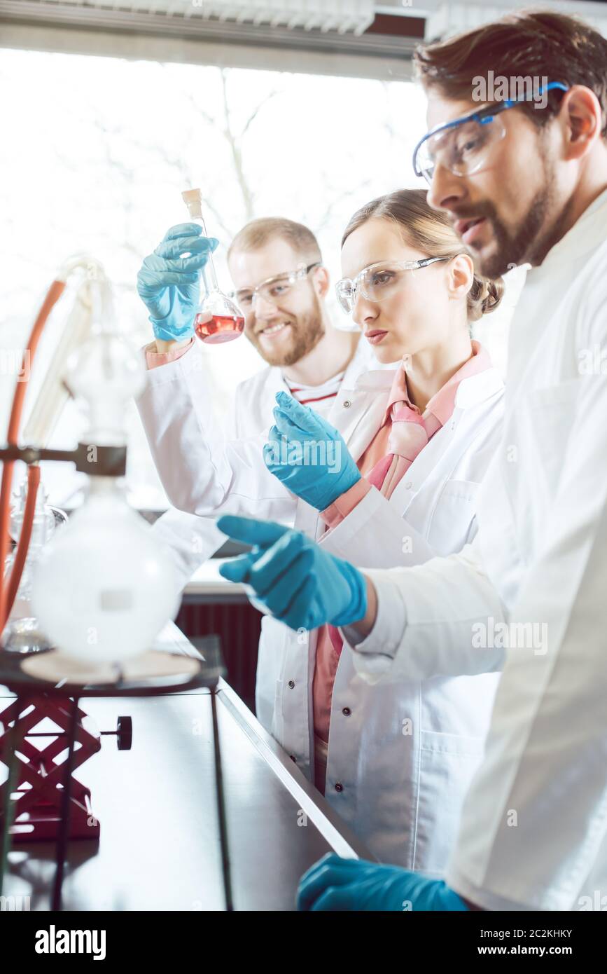 Successful scientists working as a team in the laboratory Stock Photo ...