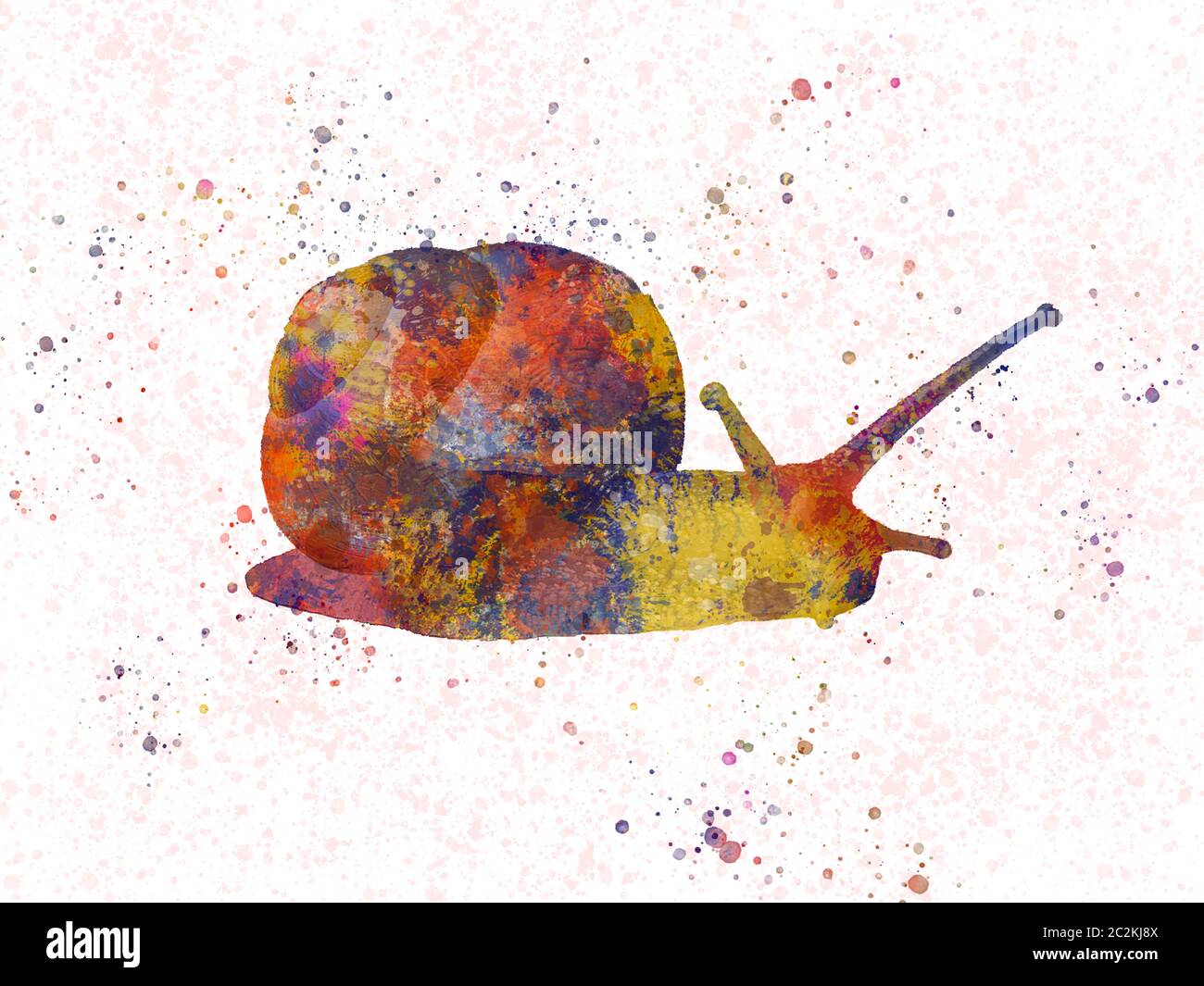 Abstract snail hi-res stock photography and images - Alamy