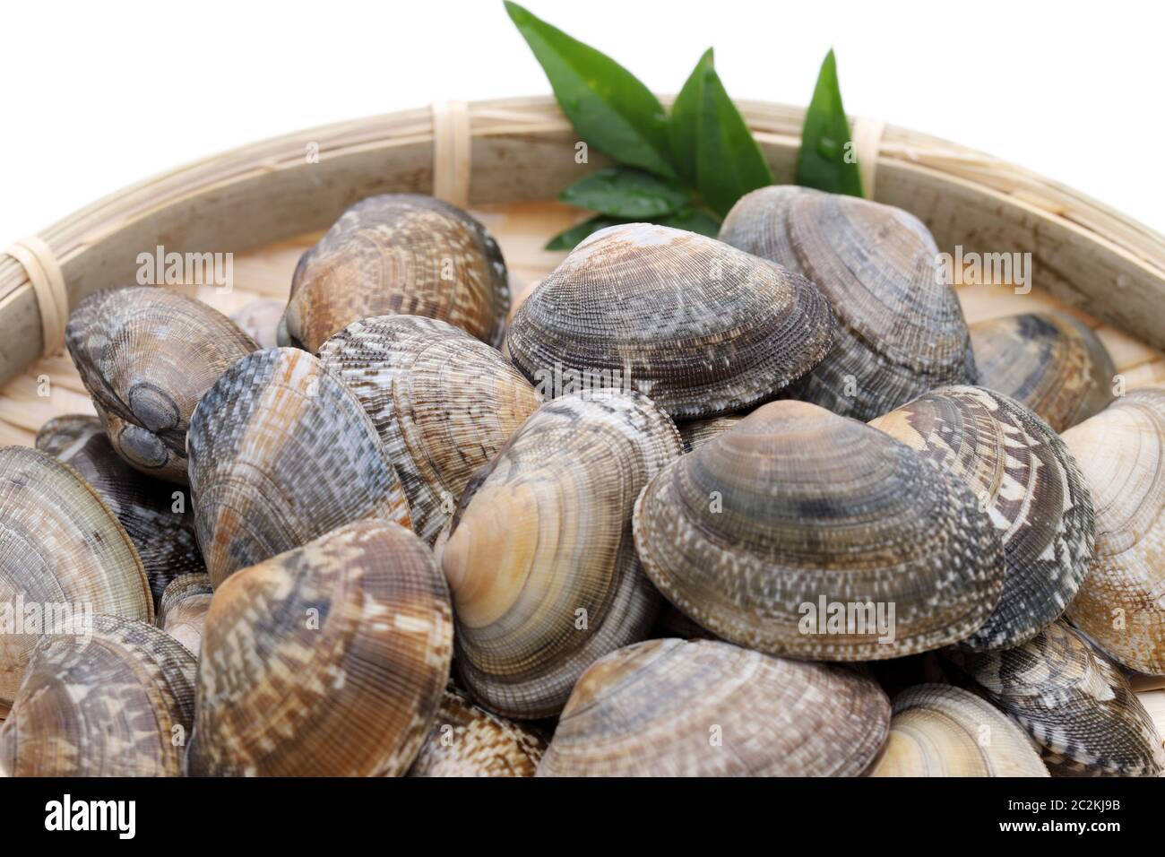 Japanese asari clams in a bamboo basket on white background Stock Photo ...