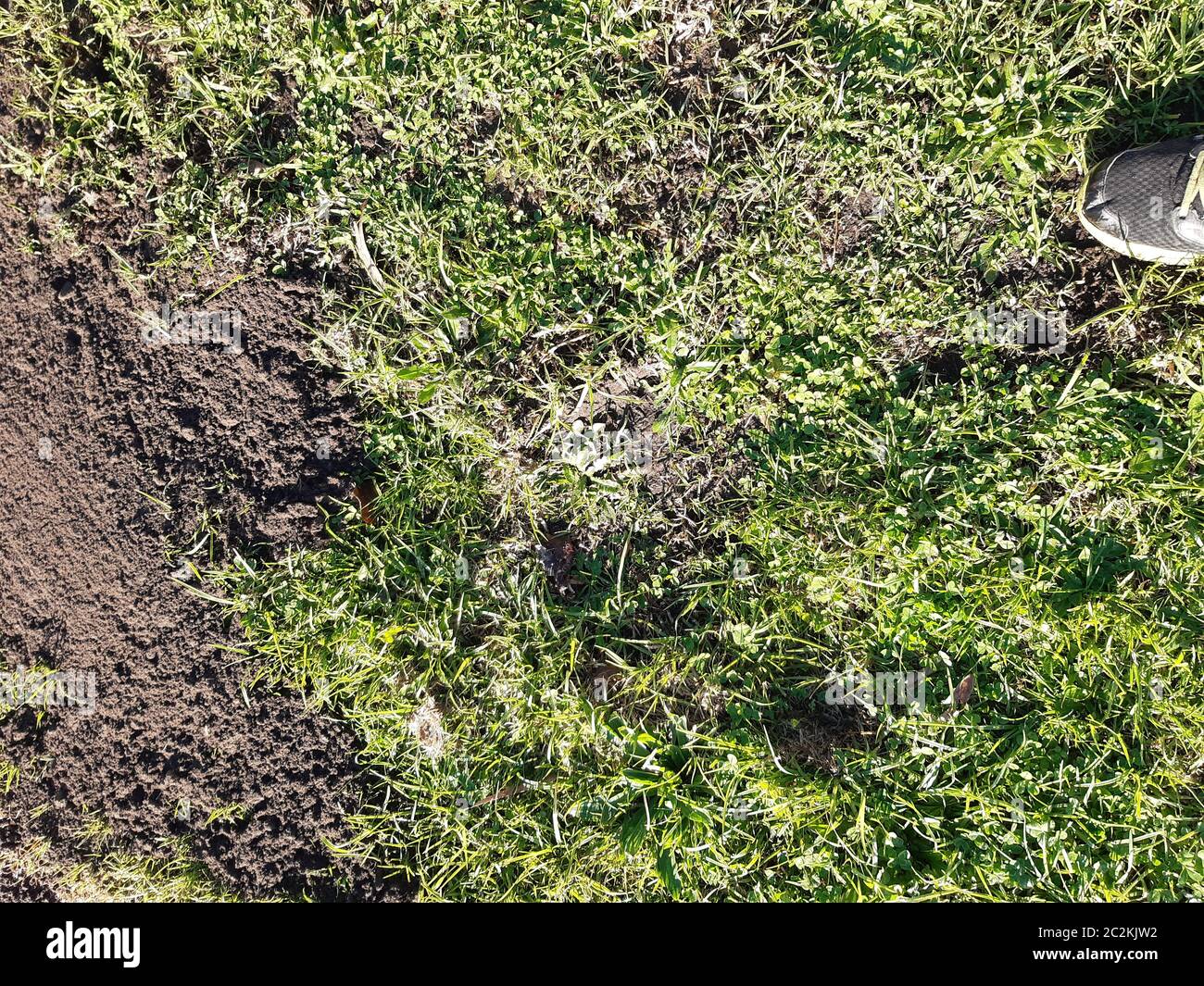 Soil with stones hi-res stock photography and images - Alamy