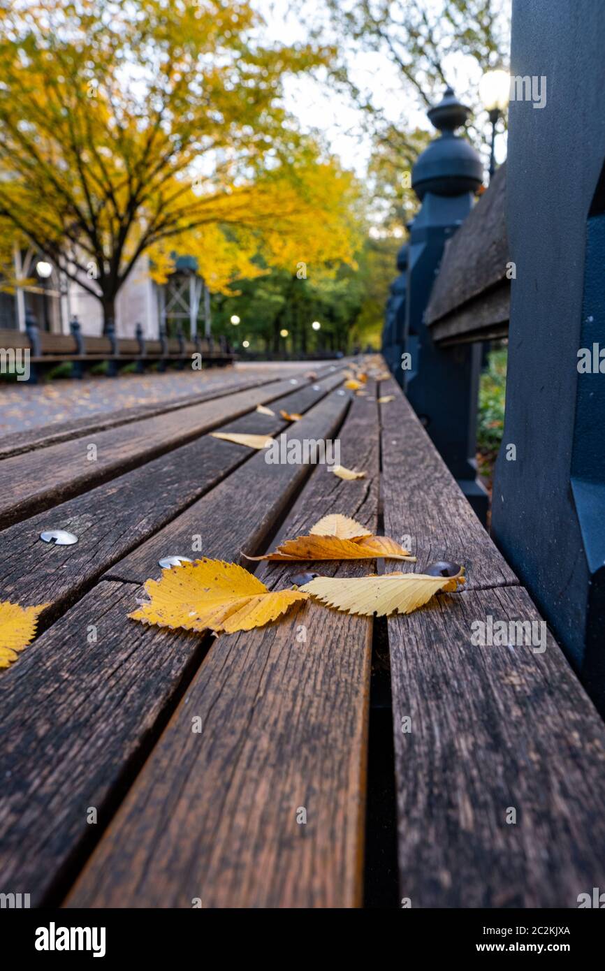 Fall foliage color of Central Park in Manhattan Stock Photo - Alamy