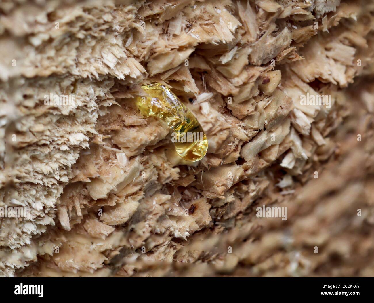 Pistacia resin hi-res stock photography and images - Alamy