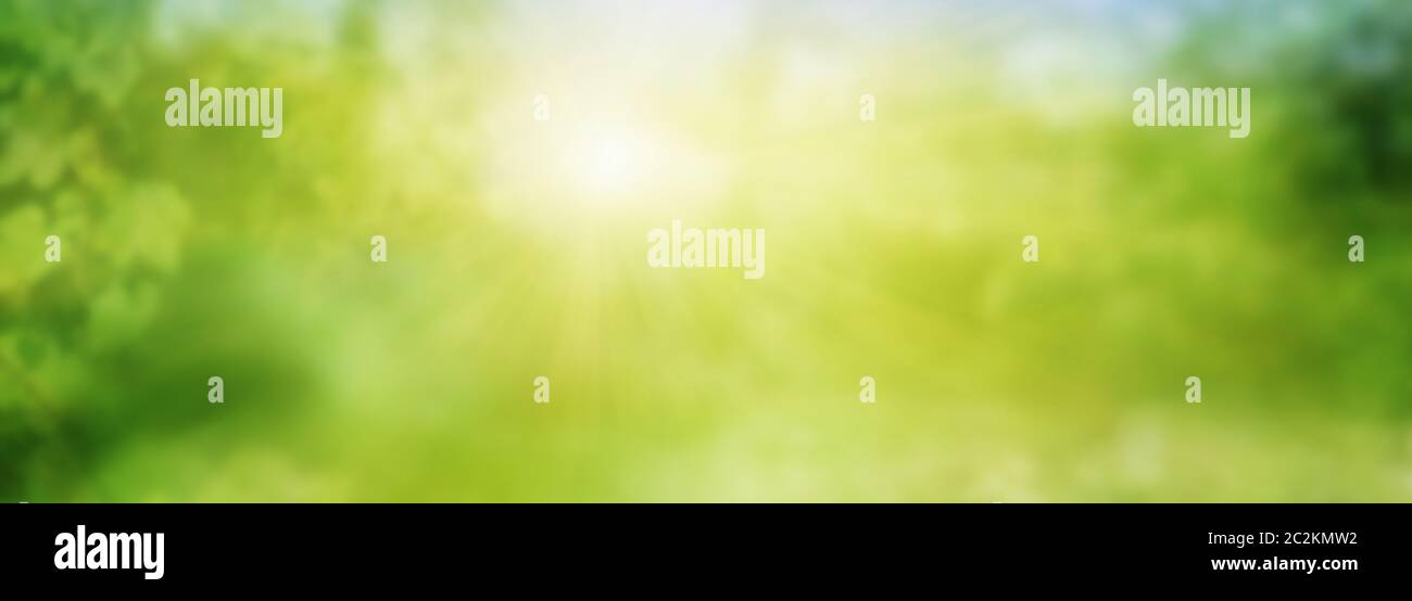 Abstract green sunny spring landscape. Clean nature background for ...