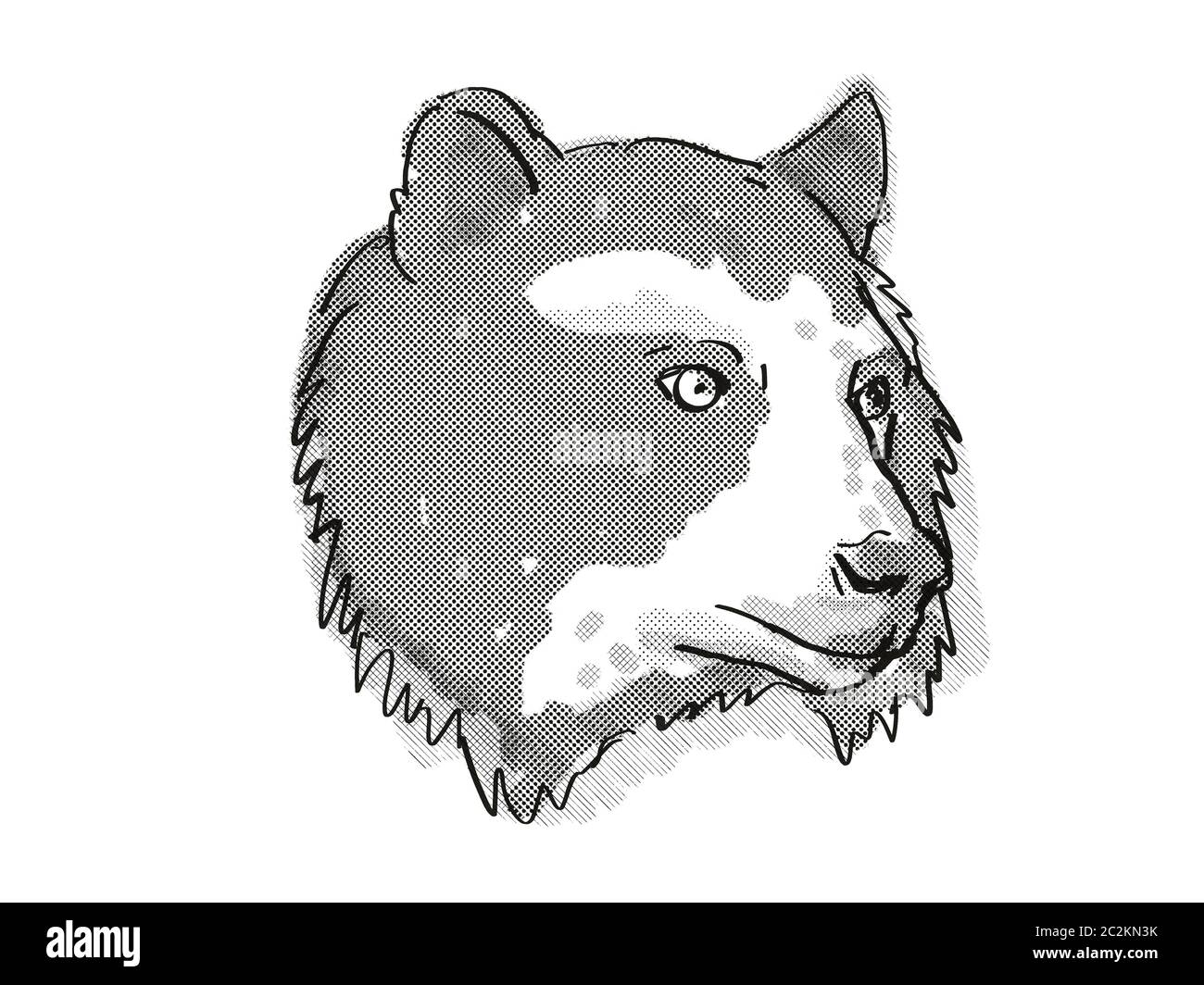 Retro cartoon style drawing of head of a Spectacled Bear also known as ...