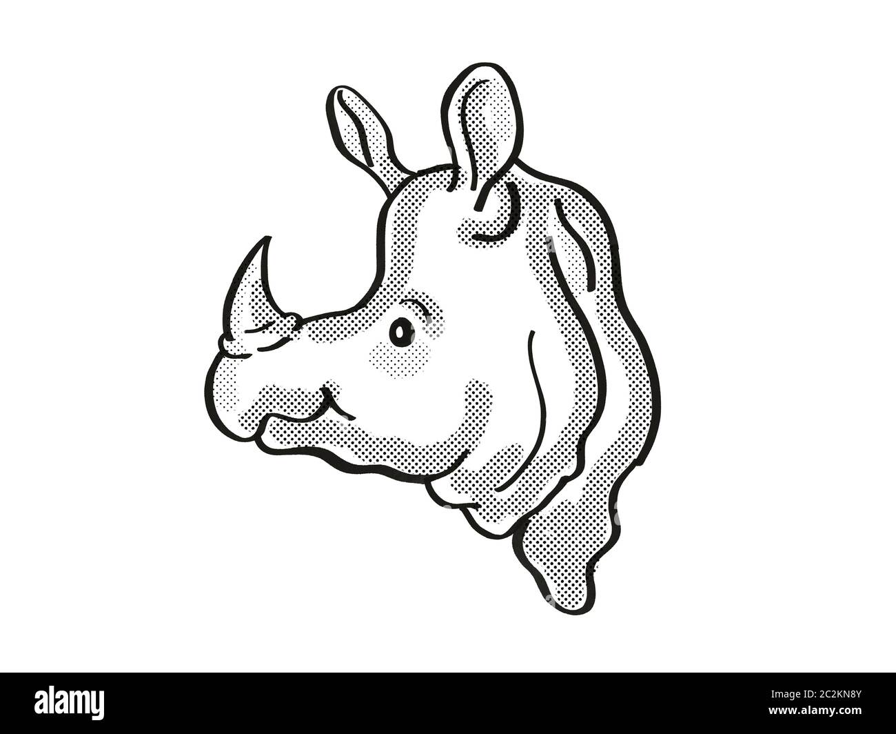 Rhino Drawing Face