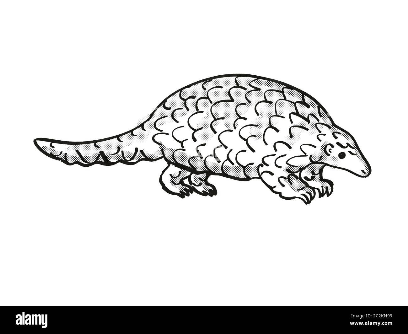 Tree Pangolin Drawing