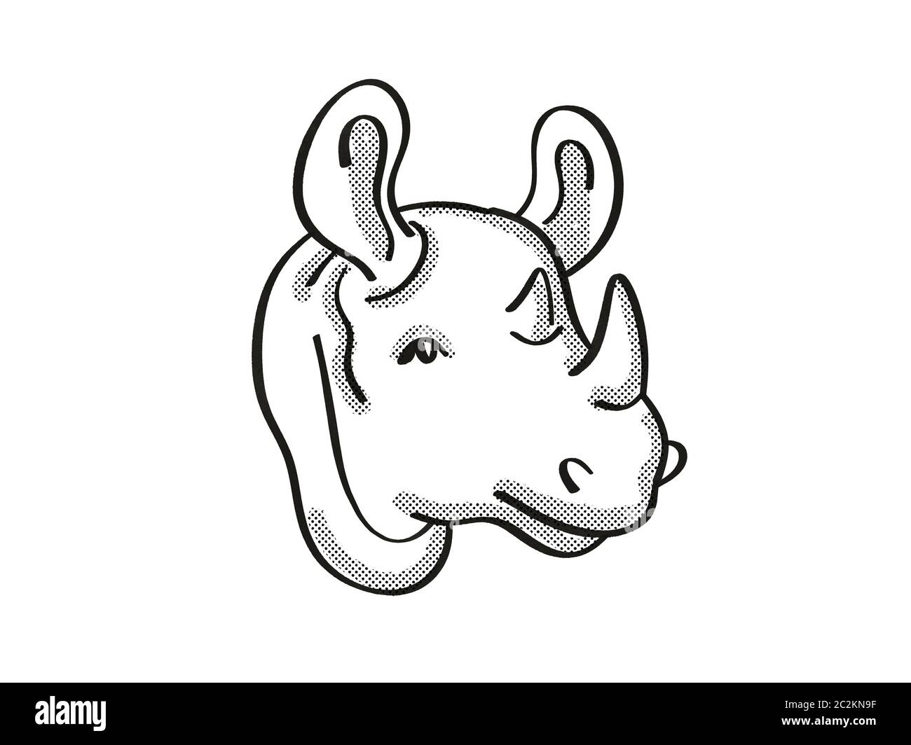Rhino Head Drawing Front