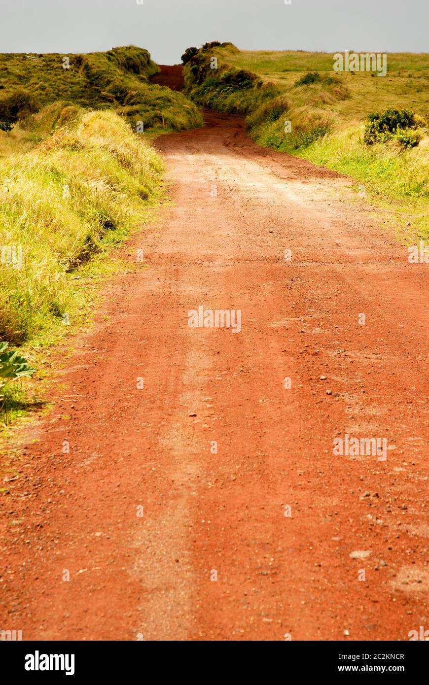 big red road in sao jorge island, azores Stock Photo - Alamy