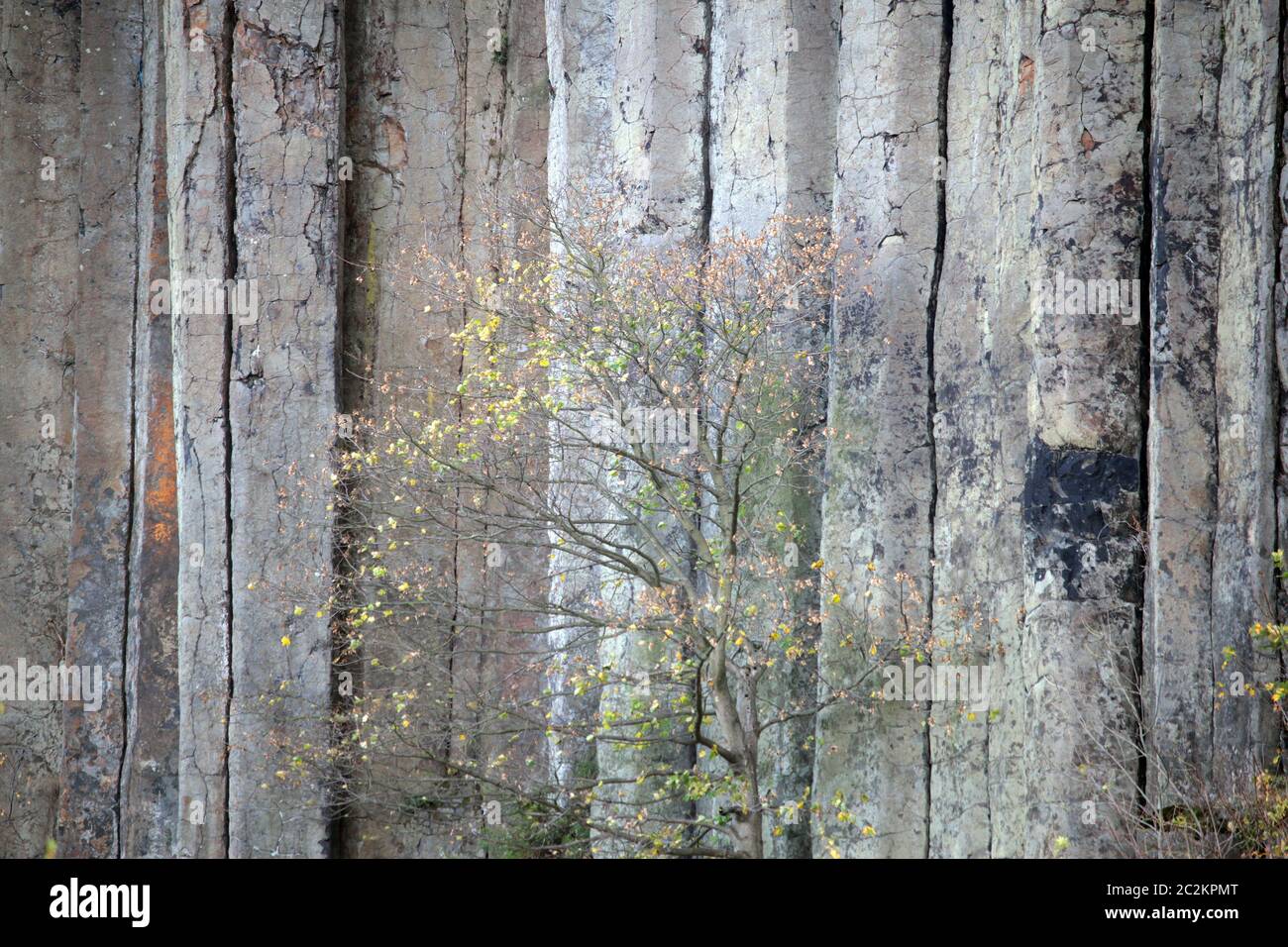 Basalt mountain hi-res stock photography and images - Alamy