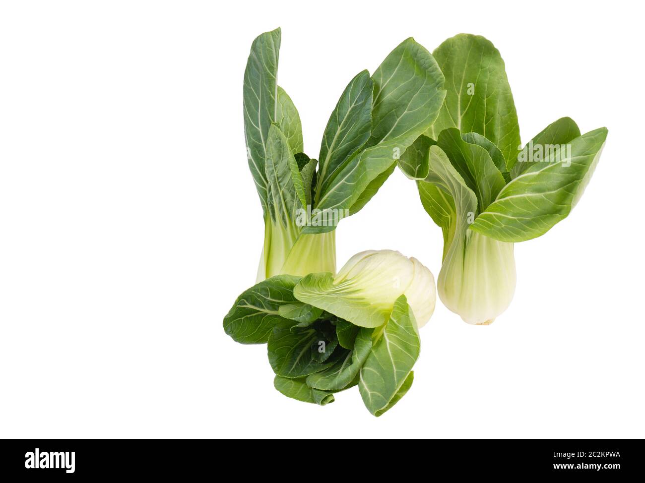 Baby leaf pak choi hi-res stock photography and images - Alamy