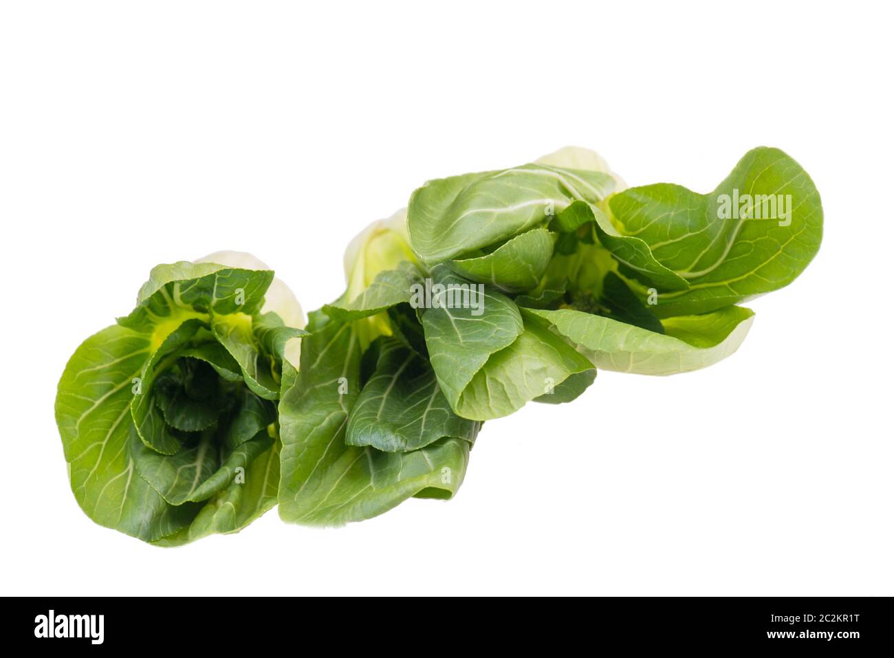 Pak choi vegetables isolated on a white background Stock Photo - Alamy