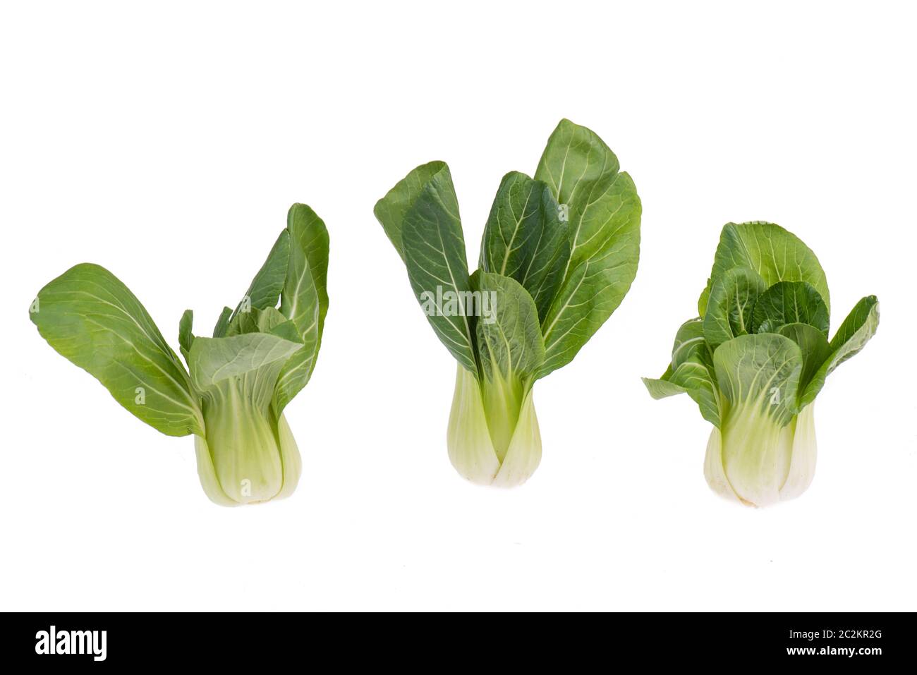 Pak choi vegetables isolated on a white background Stock Photo - Alamy
