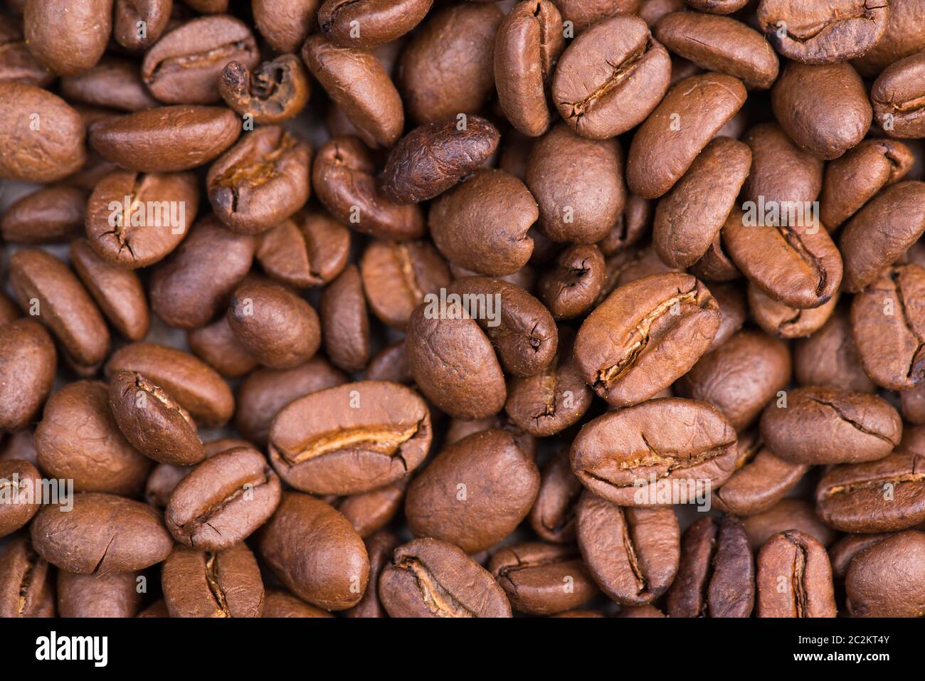 Coffee shop backdrop hi-res stock photography and images - Alamy