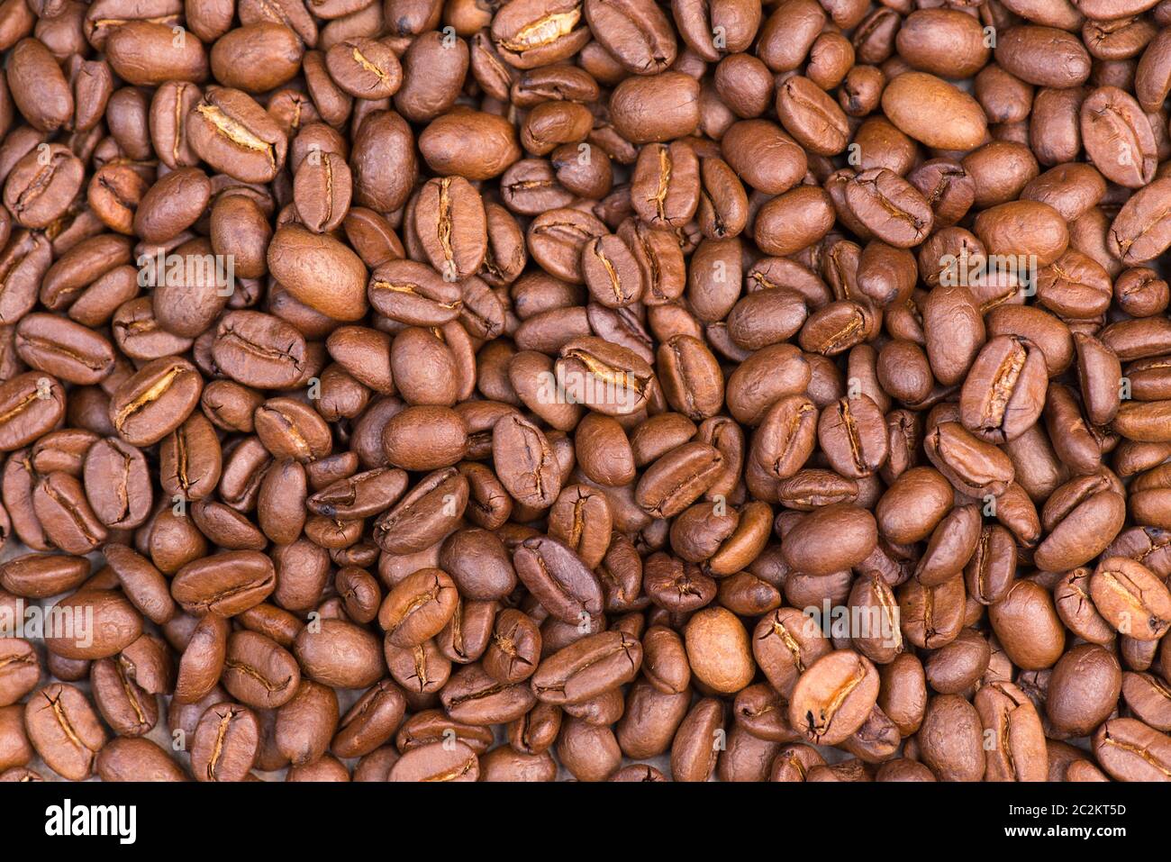 Coffee shop backdrop hi-res stock photography and images - Alamy