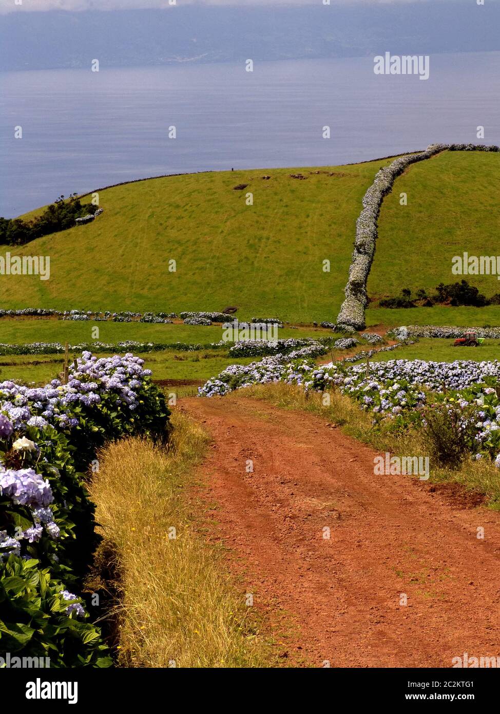 Red desert azores hi-res stock photography and images - Alamy